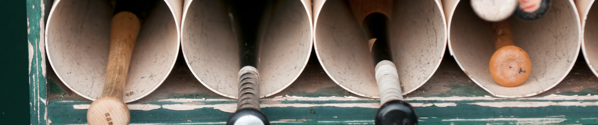 Meet Cubs superfan: Tyler Grote | Hanover Park Community Bank